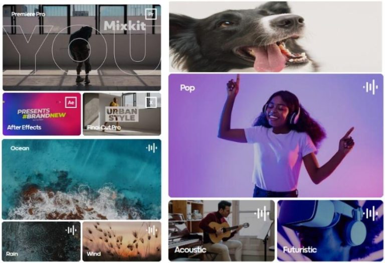 גן עדן ליוצרים: אתר Mixkit מציע מעל 50,000 קטעי וידאו, קטעים מוזיקליים ואפקטים קוליים להורדה ...